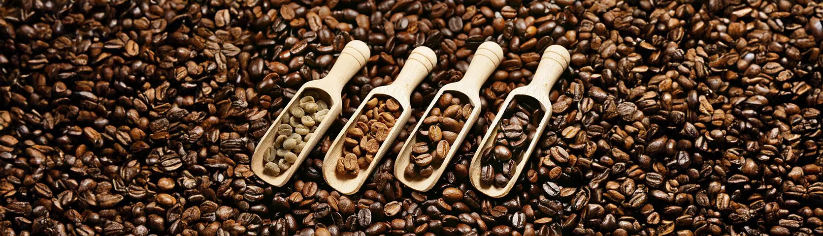 Intermediate Coffee Roasting: Developing Flavor Profiles | Pure Coffee